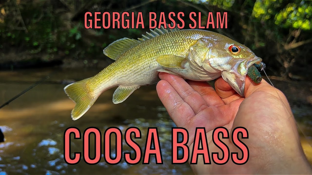 OOSTANALA COOSA BASS || river kayak fishing - YouTube