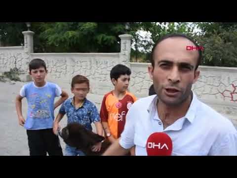 Annesi ölen sahipsiz sıpaya ilçe halkı sahip çıktı