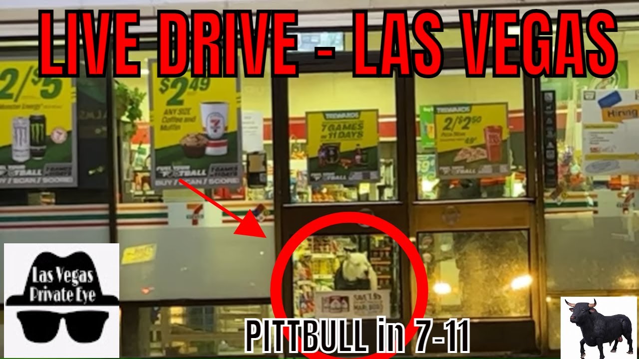 Las Vegas Private Eye LIVE Investigations - Playing some slot machines ...