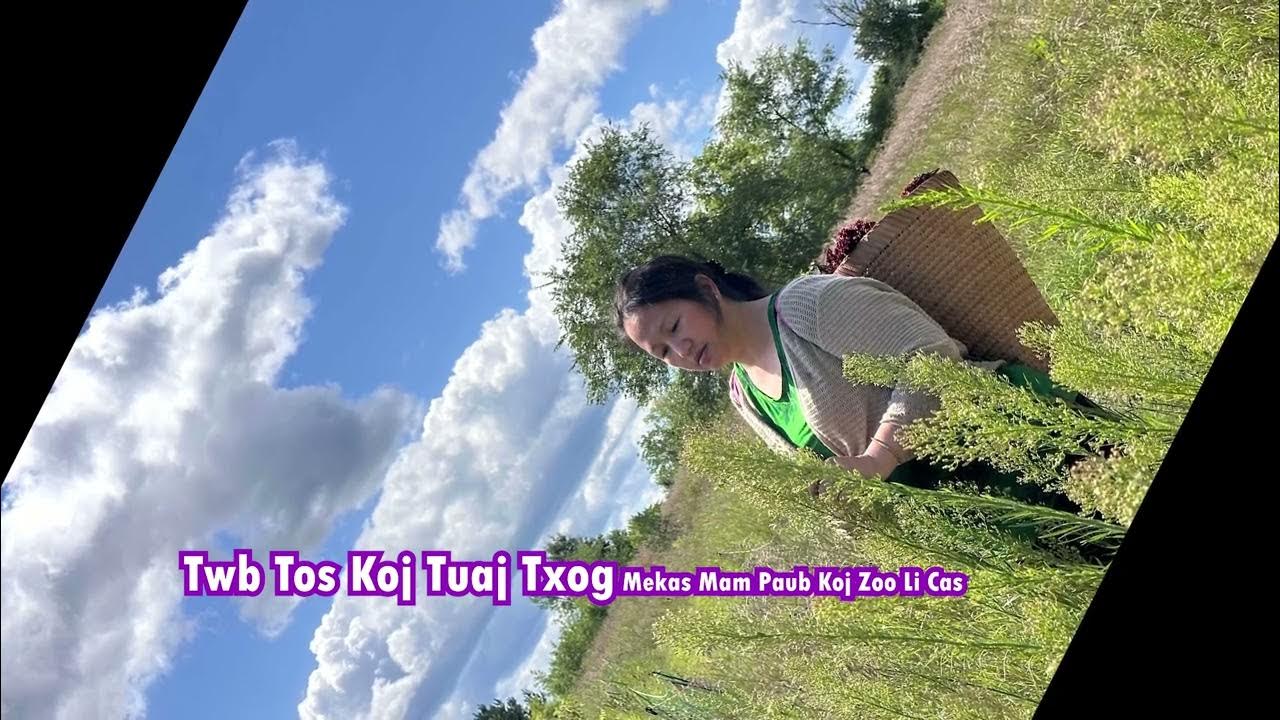 Twb Tos Koj Tuaj Txog Mekas Mam Paub Koj Zoo Li Cas 8/16/24 - YouTube