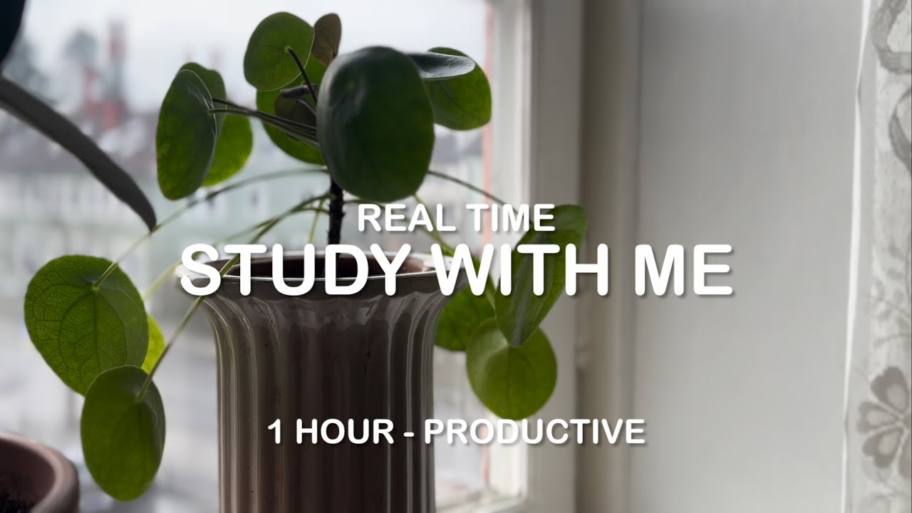 Real time STUDY WITH ME (no music): 1h Productive , Background noise ...