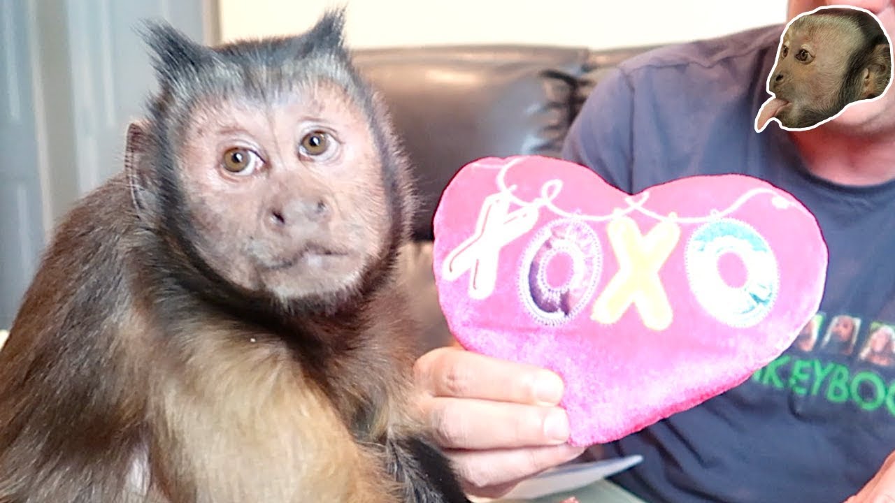 Monkey Unboxes Fan Mail! Fidget Spinners | Snacks | PlayDoh & MORE ...