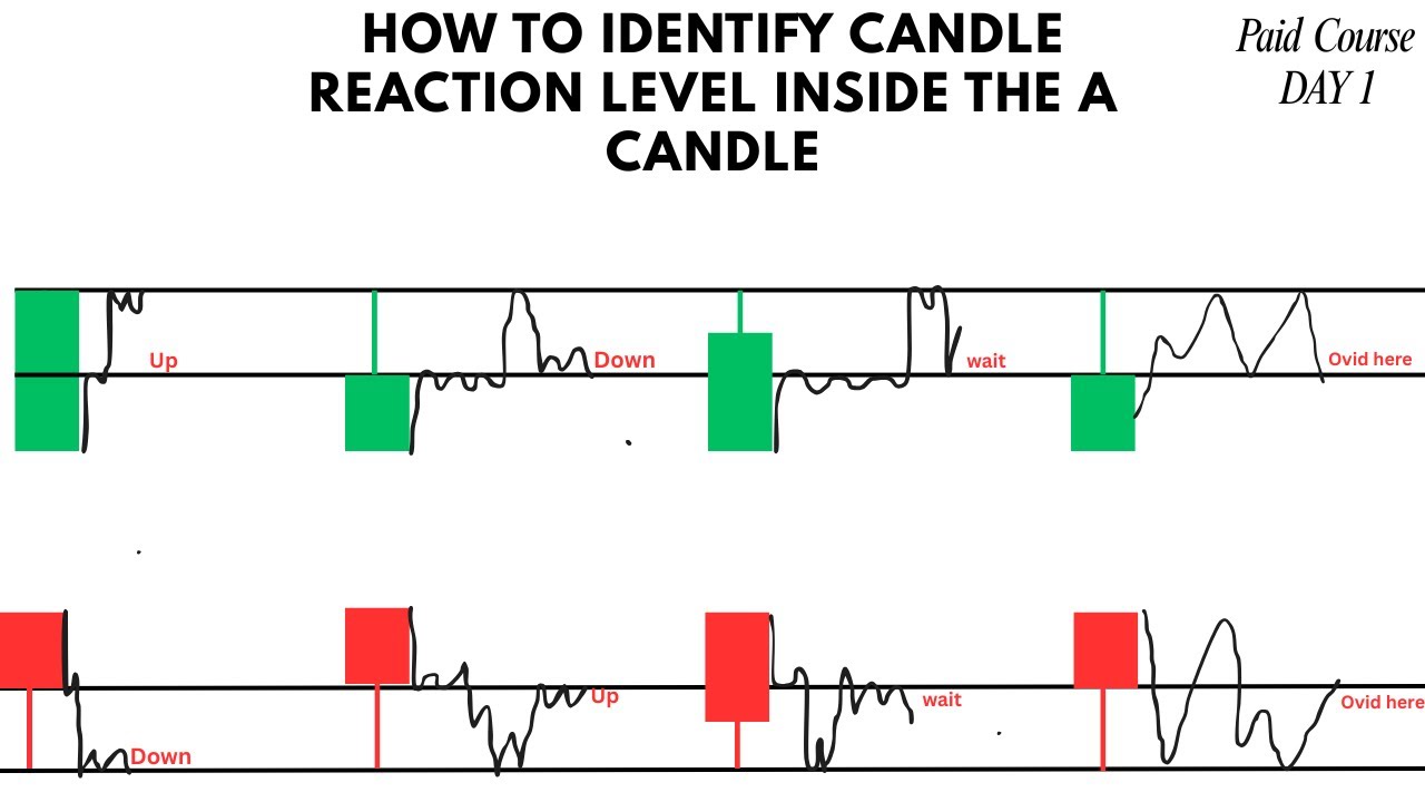 How to identify candle reaction level inside the a candle| day 1 - YouTube