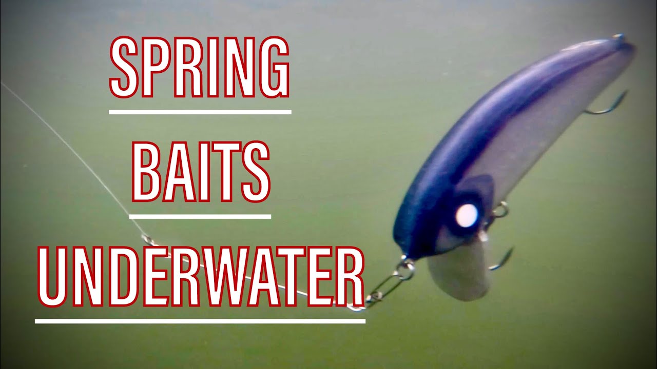 GOING UNDERWATER FOR THE BEST SPRING BAITS - YouTube