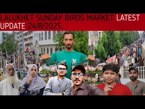 Lalukhet Sunday Birds Market Latest update 24/8/2025. Exotic Birds/Fown ...