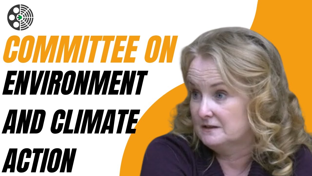 Senator Mary Fitzpatrick- speech from 28 Nov - YouTube