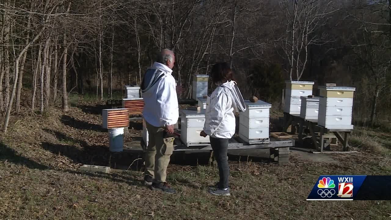 Local Beekeeper hosting free academy to education those who want to ...