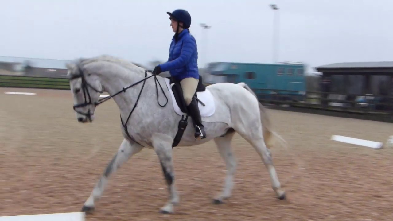 Carrie Coombs and Billy = Interdressage JAN 2019 (Starter) - YouTube