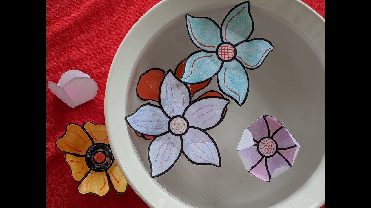 Whatcom Museum Blooming Flowers Kids Activity - YouTube