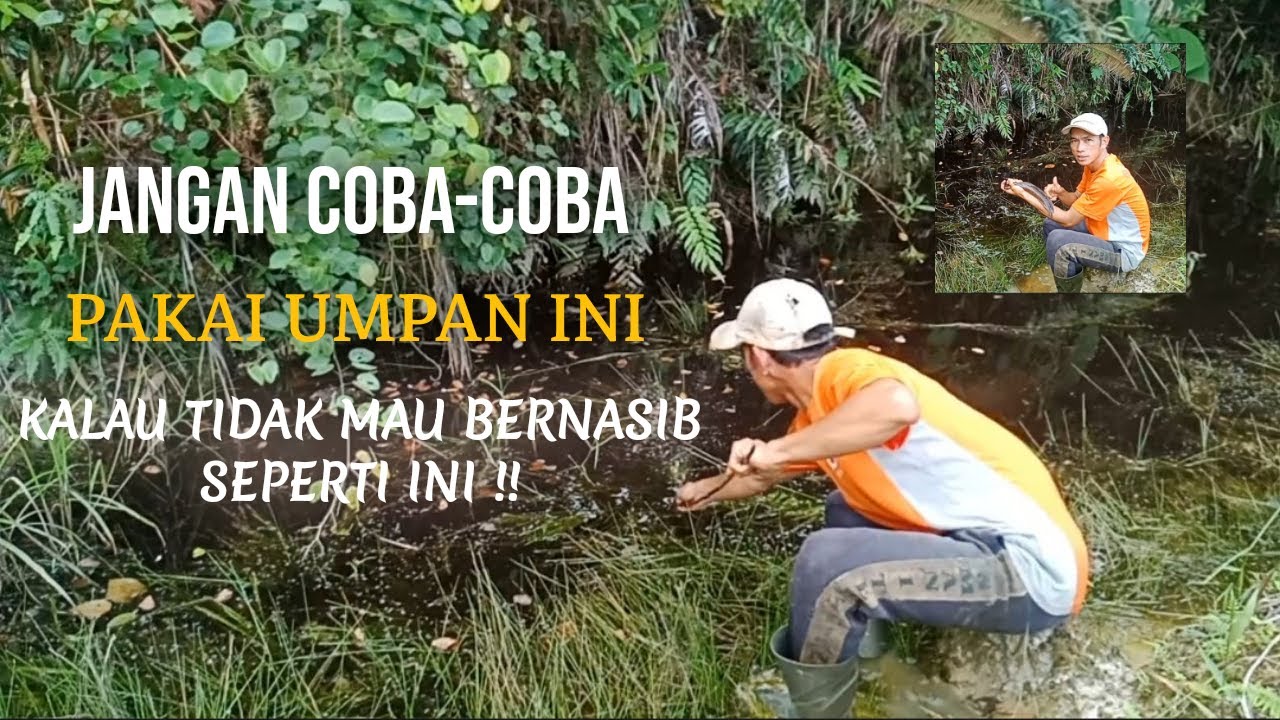 MANCING GABUS || Pertama kali mancing di spot air hitam @bang_all_jak ...