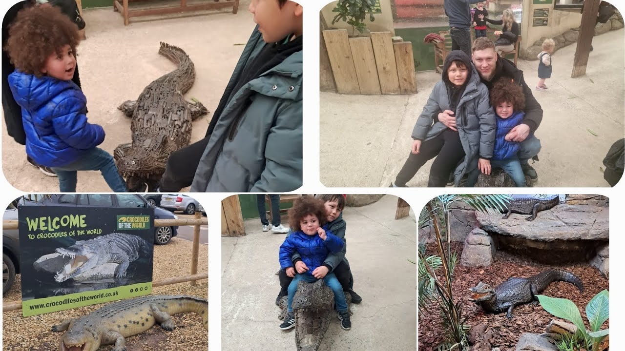 We visited Crocodiles Of The World|Uks only Crocodile Zoo(Full ...
