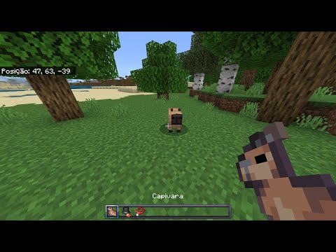 capivara no minecraft - YouTube