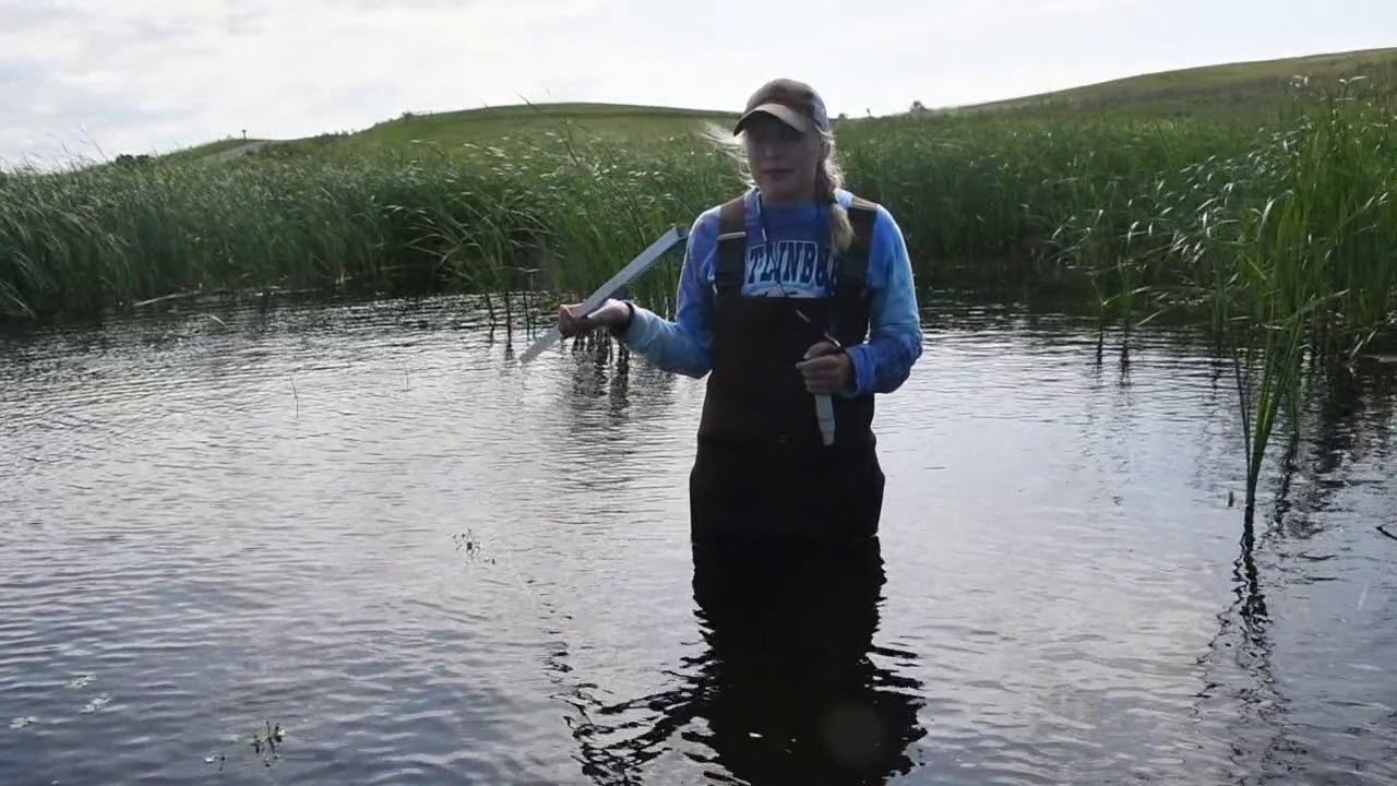 Wetland Sampling Video Part 1 - YouTube