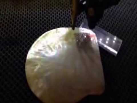 EtchON Laser Engraving on Sea Shell - YouTube