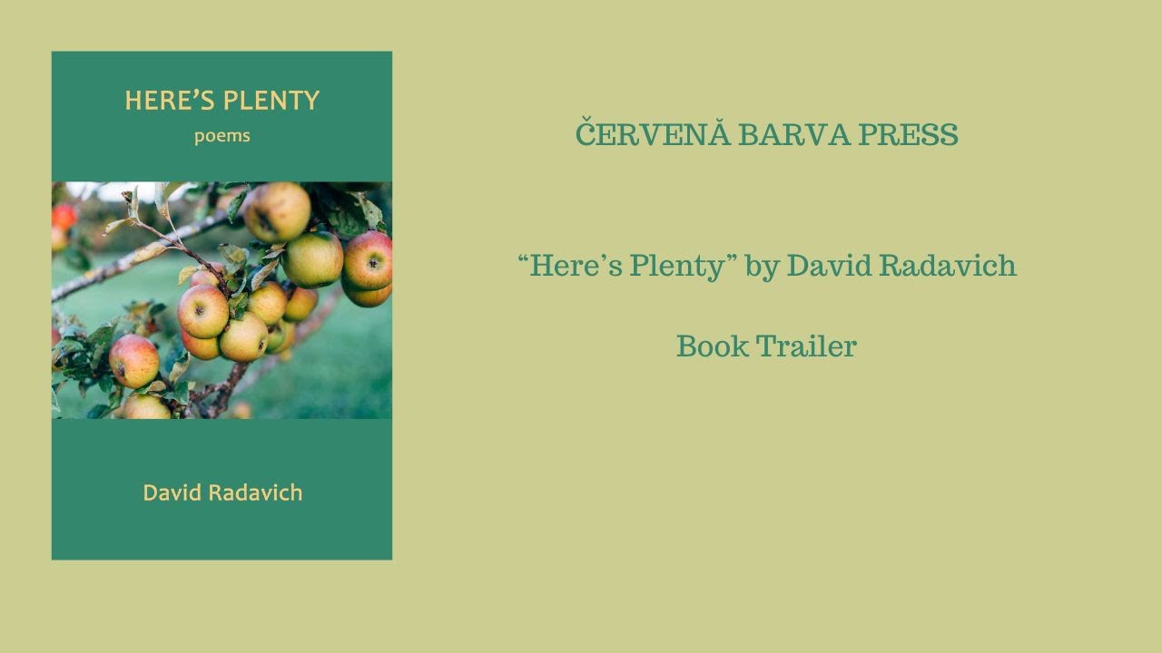 "Here's Plenty" by David Radavich /Book Trailer - YouTube