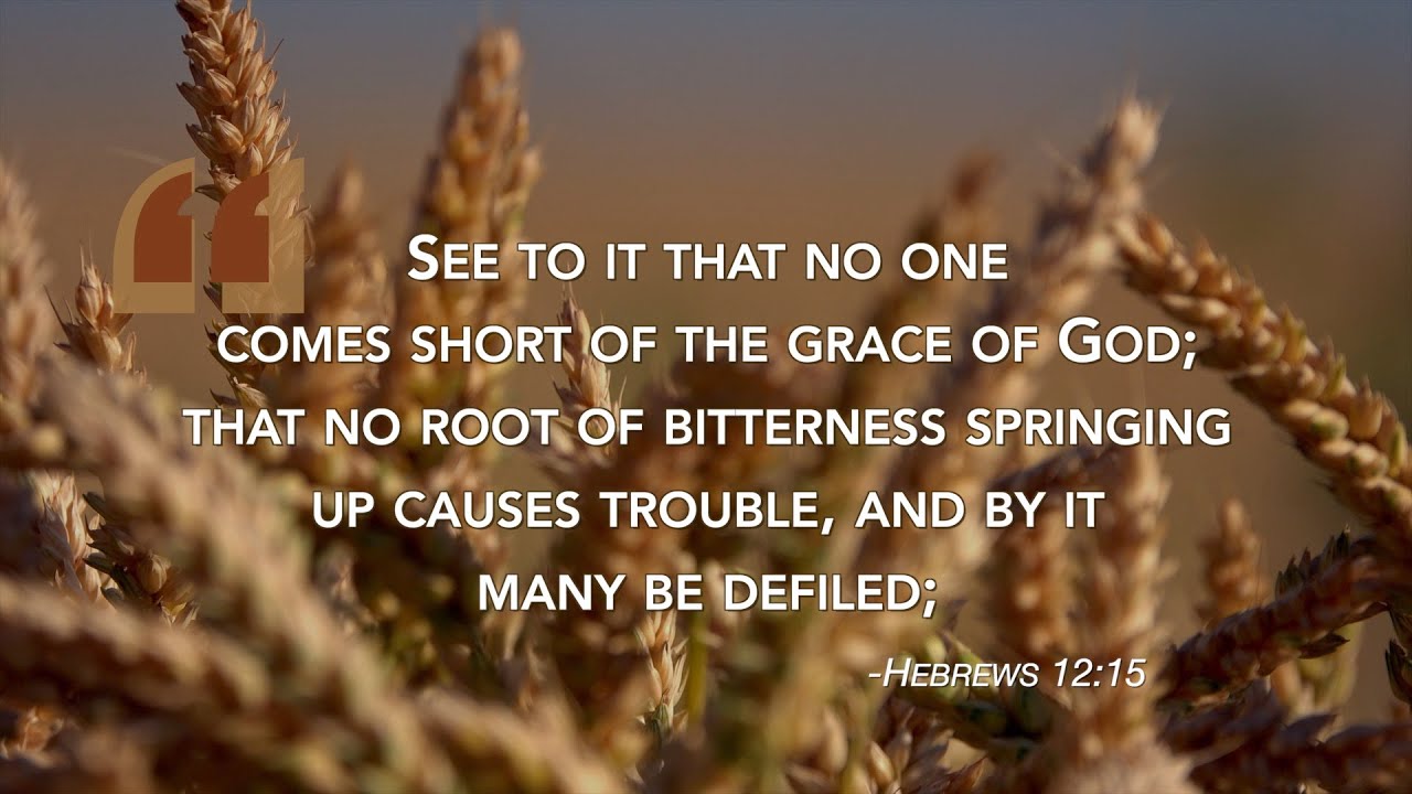 The Two Sons - Birthright and Blessing - Jacob Prasch - YouTube