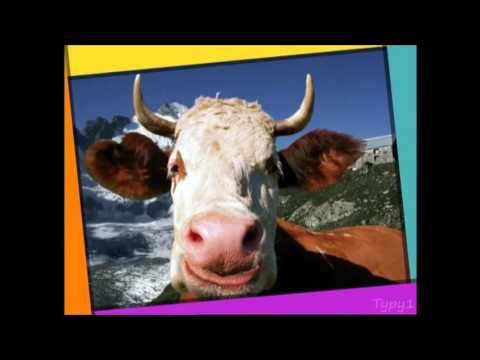 Home On The Range - Yodel Mania! (English) [HD]