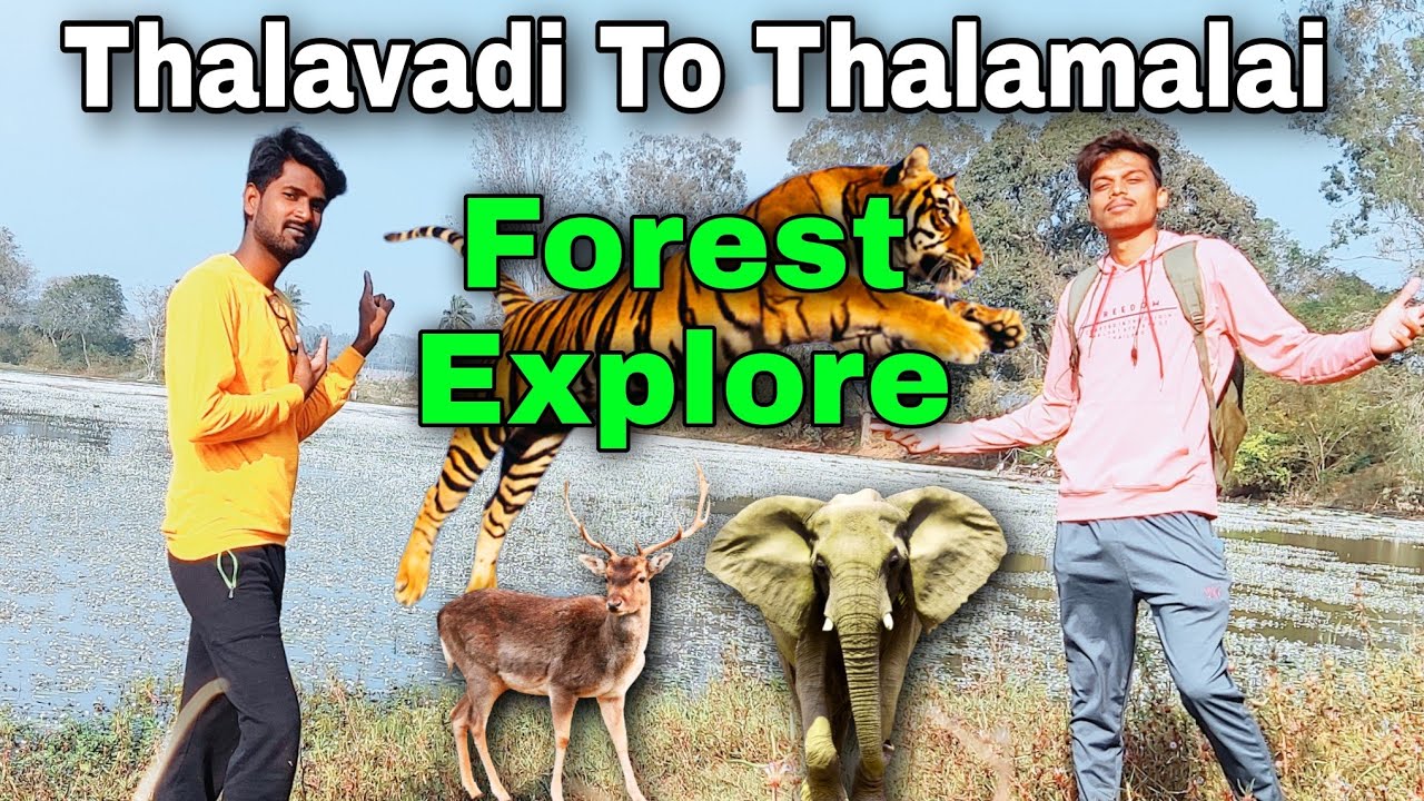 Thalavadi to Thalamalai Forest Explore PART-1 | Mano Fun Vlogs ...