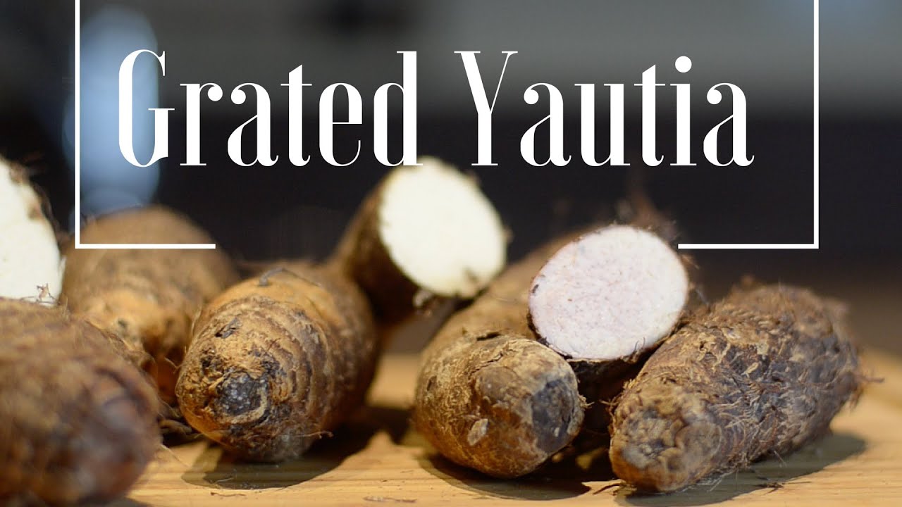 Yautia En Ingles