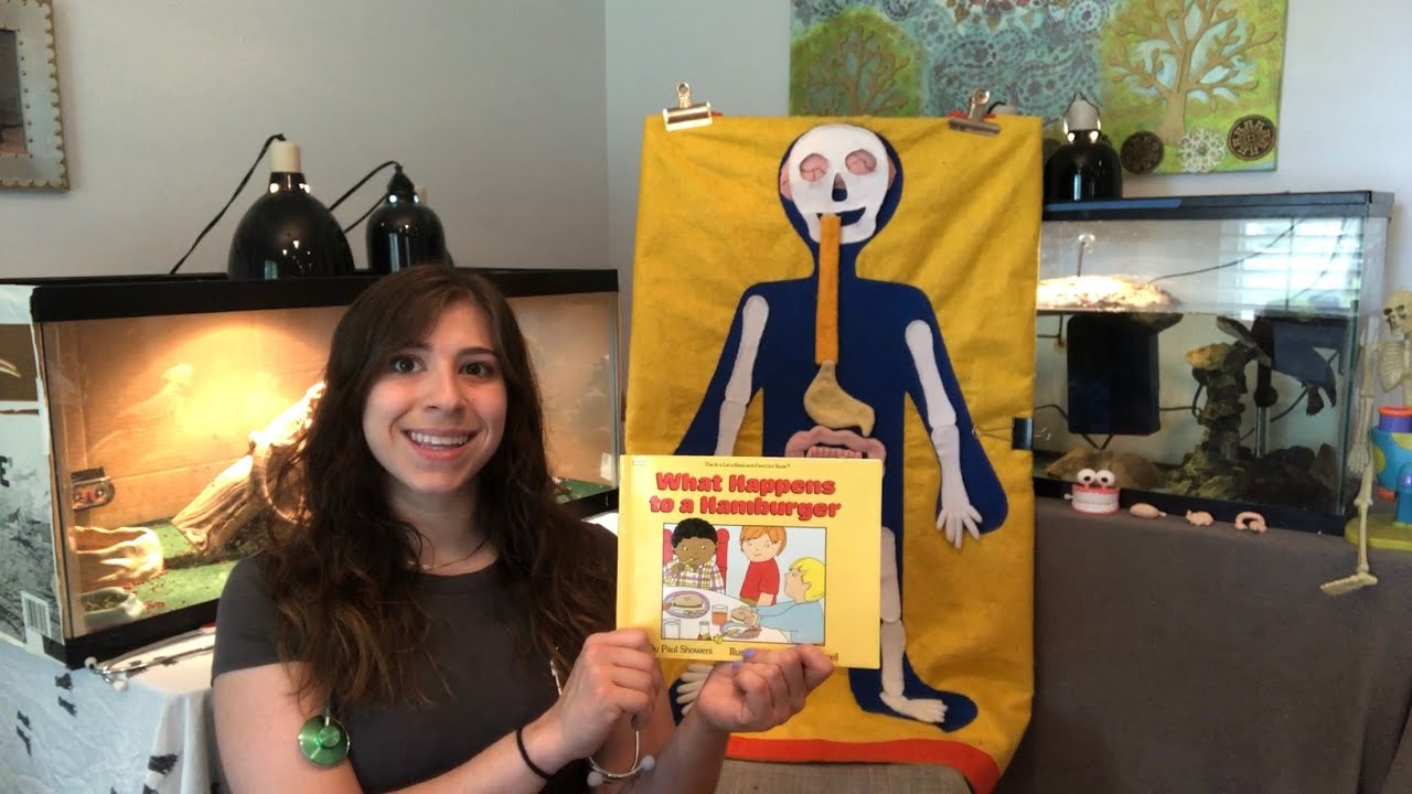 “What Happens to a Hamburger” - Science and Stories with Ashley, Shelly ...