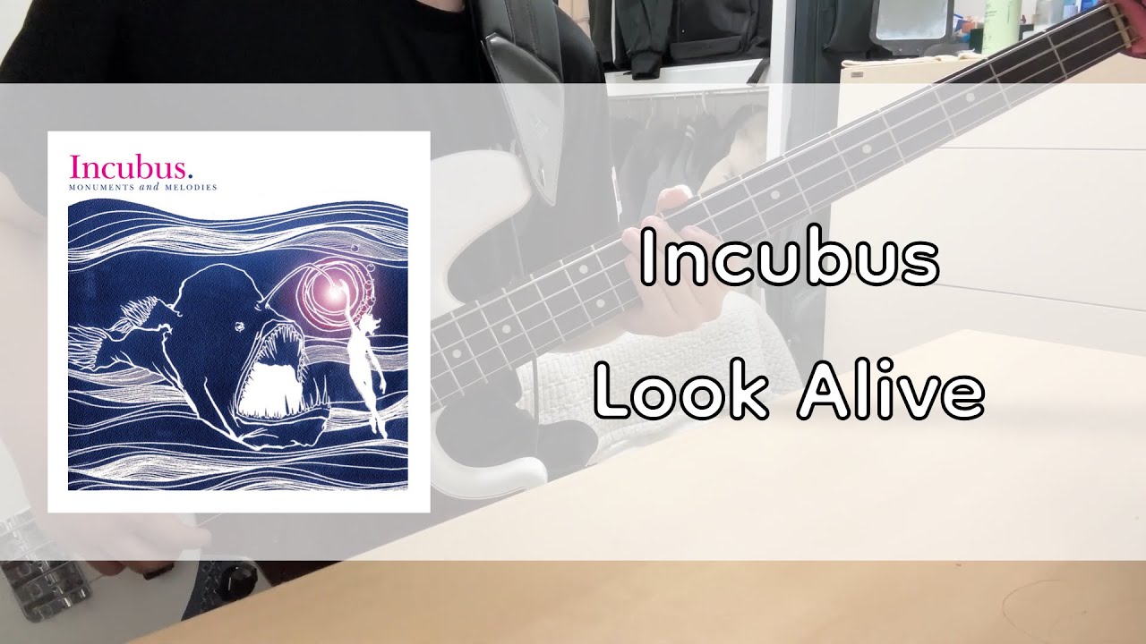 Incubus - Look Alive 베이스 커버 - YouTube