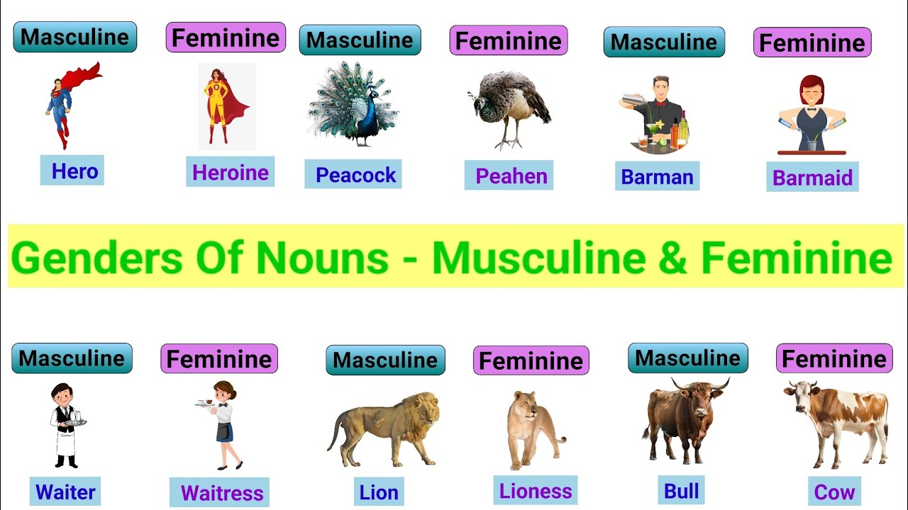 📚 Exploring Gendered Language: Masculine ♂️ and Feminine ♀️ Forms 📚 ...