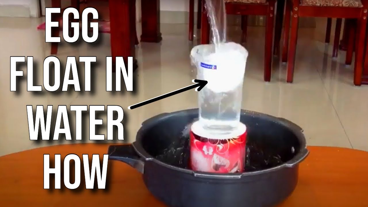 How to make Egg float in Water Science Experiment - Bernoulli's ...