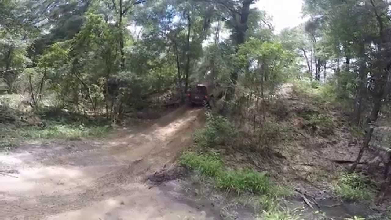 Croom wma 2015 trail riding - YouTube