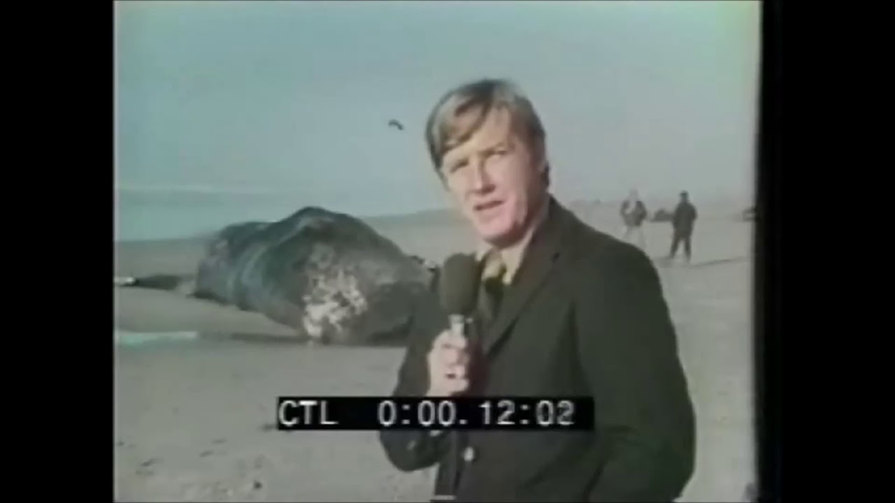 Oregon's Exploding Whale - YouTube