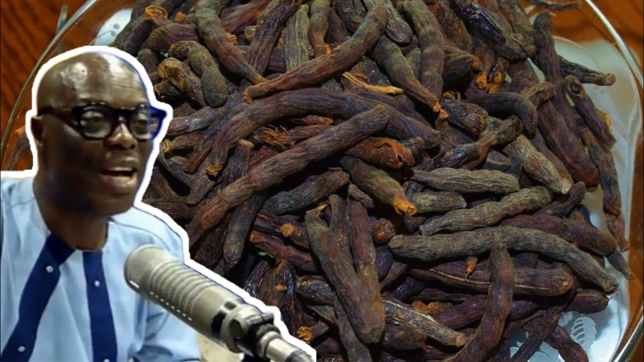 Health Benefits of Xylopia [Hwentia]. - YouTube