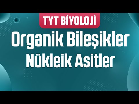 12) Organik Bileşikler : Nükleik Asitler