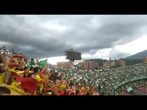 LOBO SUR | DEPORTIVO PEREIRA en Medellín - YouTube
