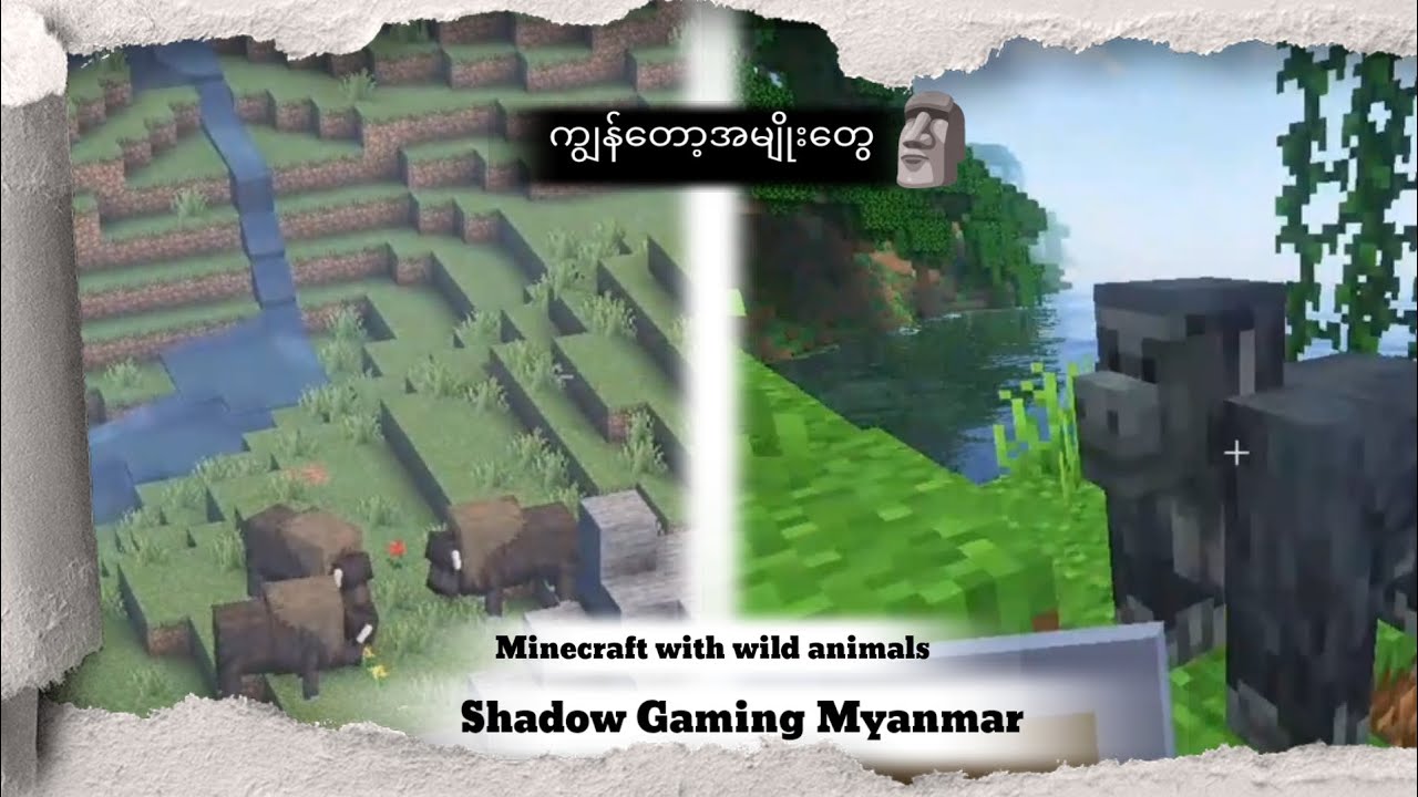 တောရိုင်း သတ္တဝါတွေရှိတဲ့ minecraft world || shadow gaming myanmar ...