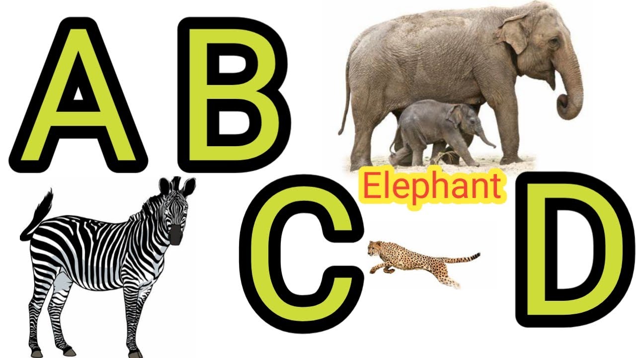 abcd in bengali | abcd padhne wala | abcd pora |abcd padhai | সহজে এ বি ...