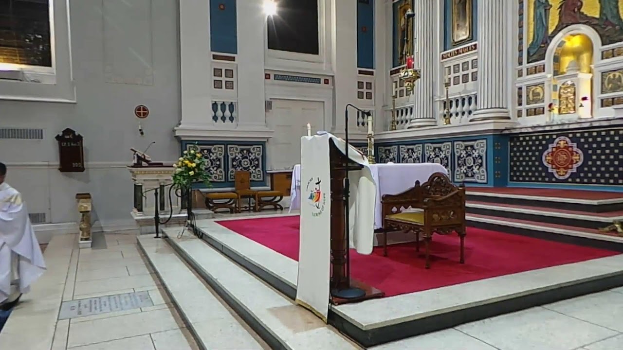 Evening Mass on Saturday, Solemnity of Christ the King of the Universe ...