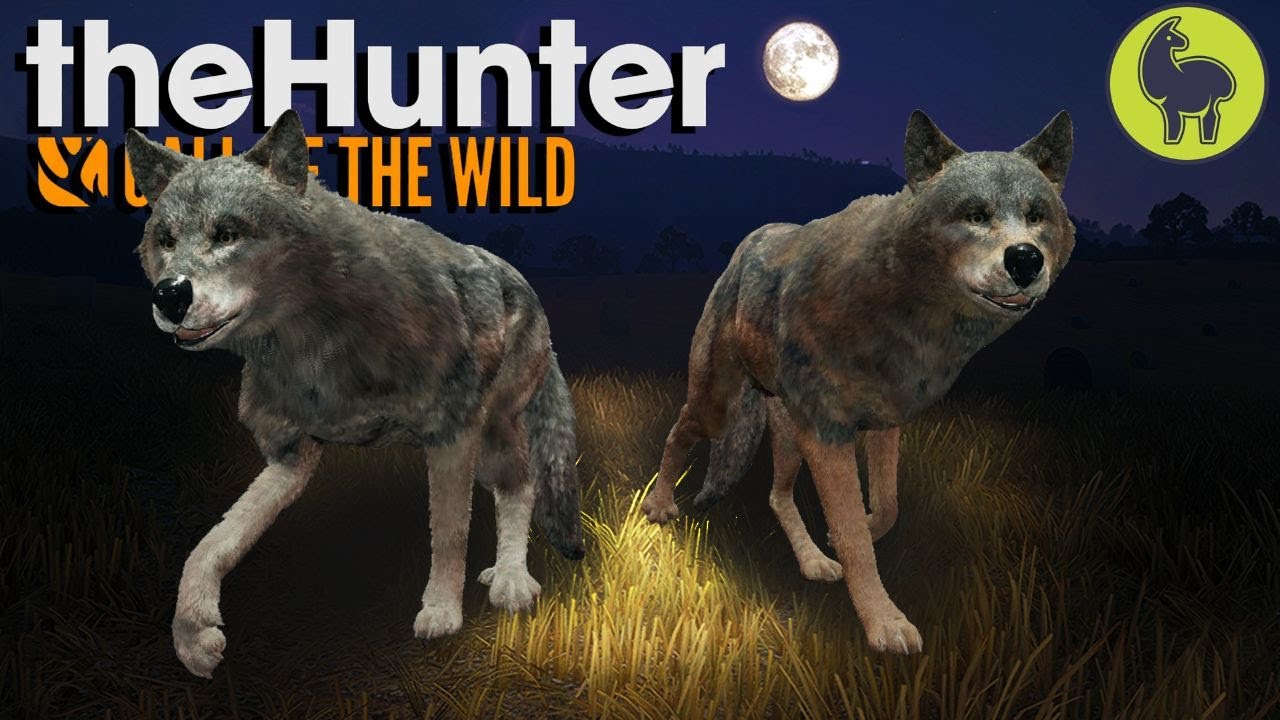 Howling at the Moon, Hunt Club Beta | theHunter: Call of the Wild (PS5 ...