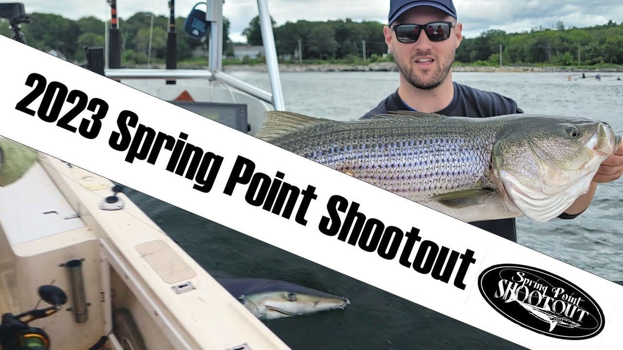 Shark, Striped Bass and Ground Fish Tournament, 2023 Spring Point ...