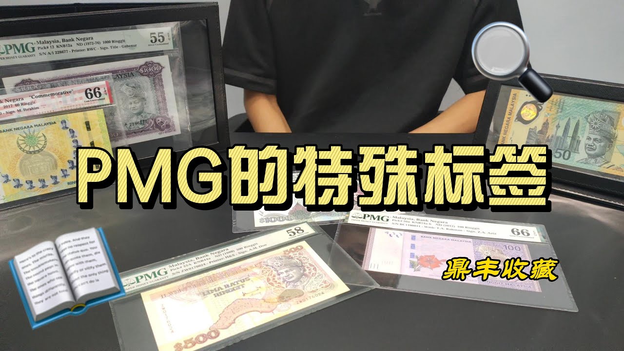 PMG的特殊标签 新手小白向干货教学-第四期 - YouTube