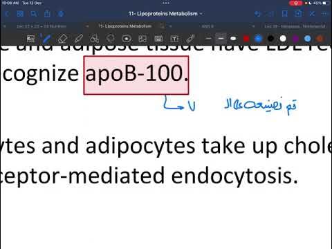 Biochemistry Lecture 27 part 2 - YouTube