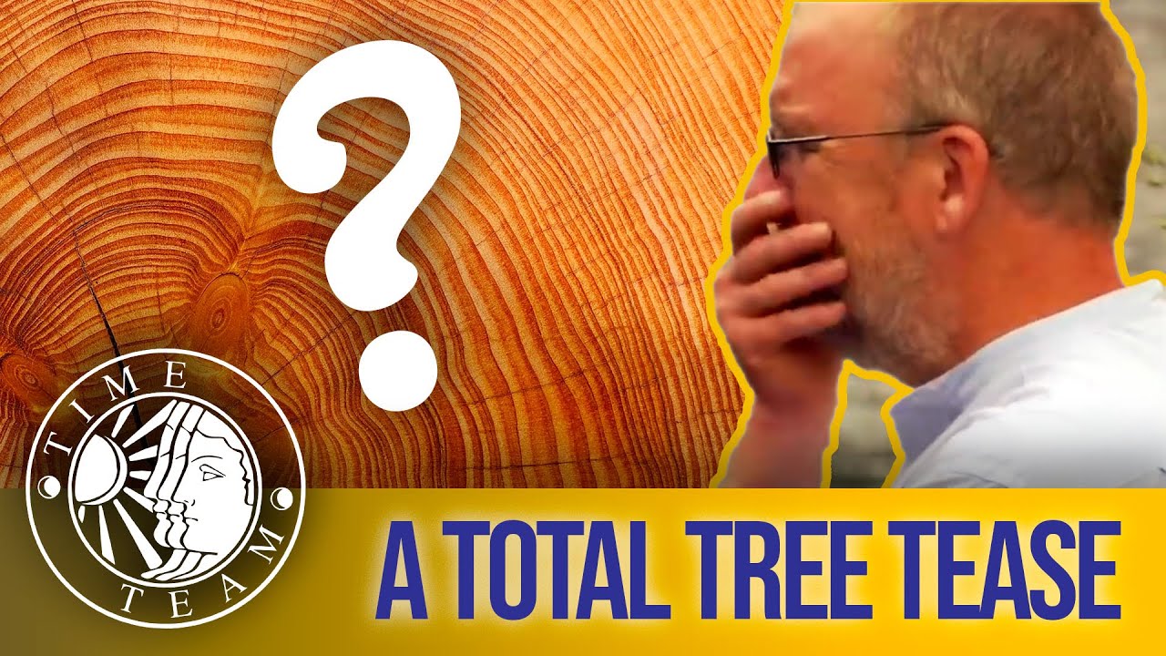 A Total Tree Tease | Time Team Classic - YouTube