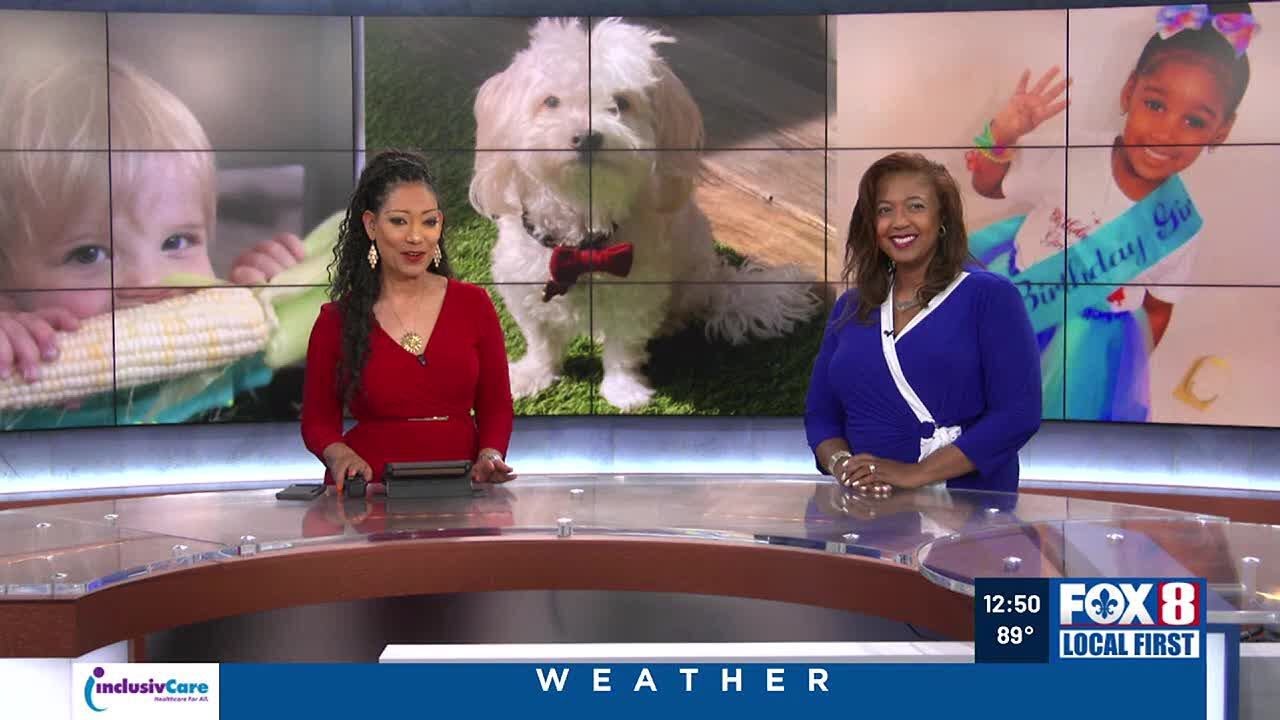 Pictures of the Day for Wednesday, June 5 at Noon - YouTube