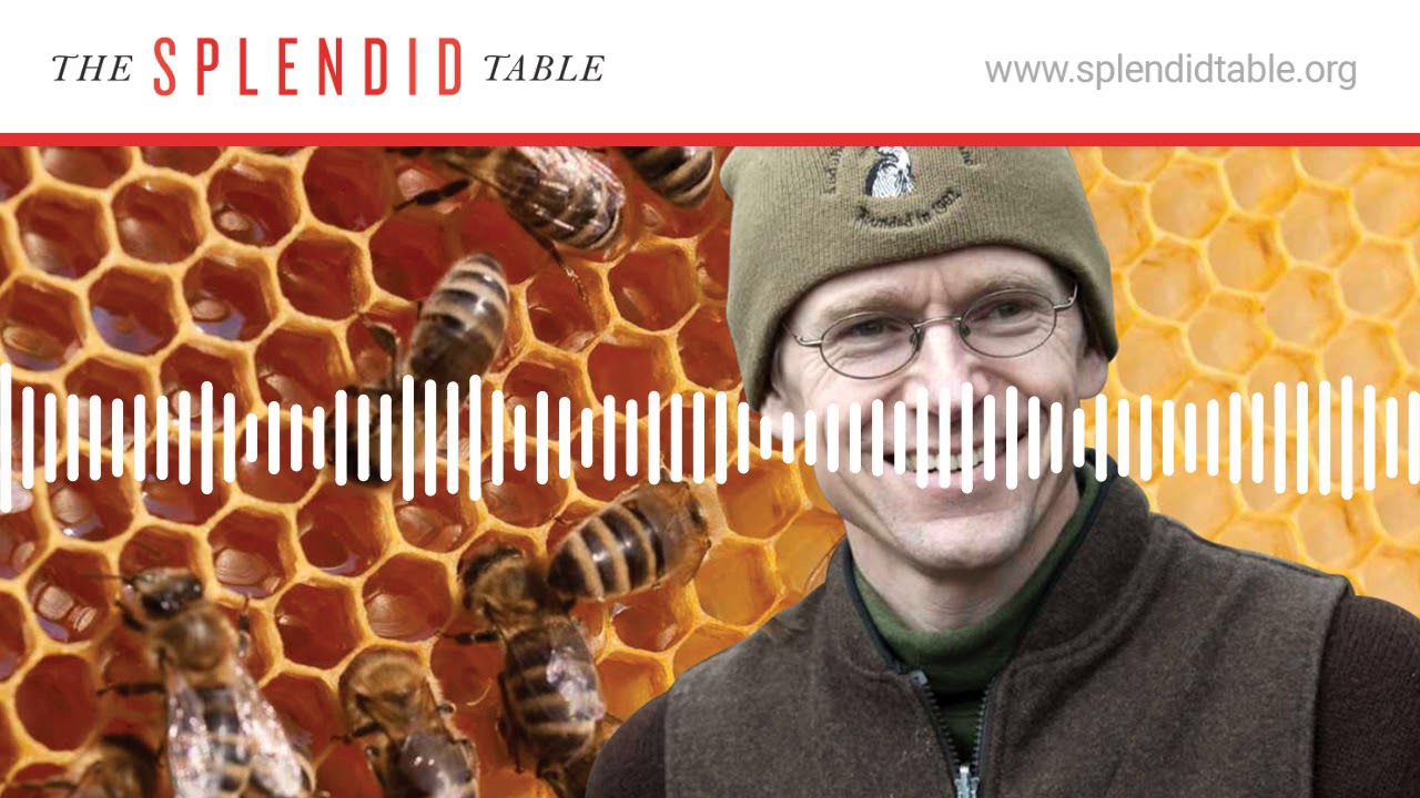 Thor Hanson | The Nature of Bees - YouTube