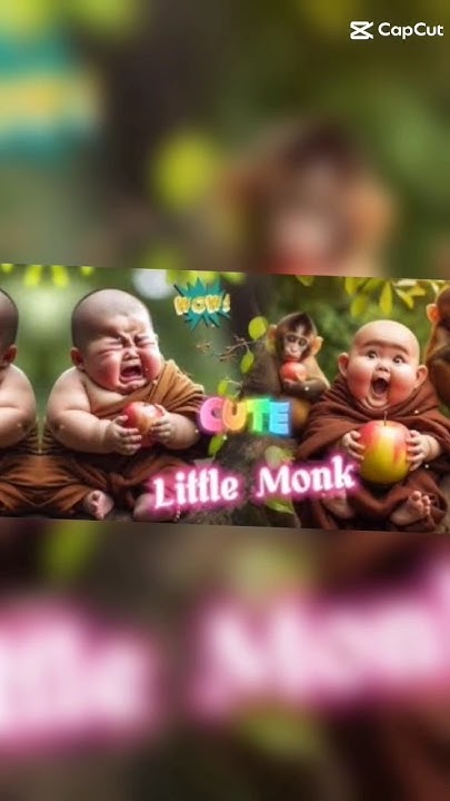 cute Little monk shorts clips 🌻🌾🥀🌱 #music #baby #clips #cute # ...