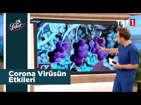 Doç. Dr. Halit Yerebakan virüsten korunma yolları hakkında önemli bilgiler anlatıyor - İyi Fikir