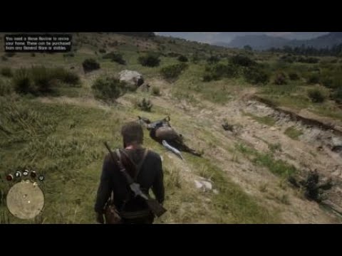 Red Dead Redemption 2 How my horse Roach tragically died - YouTube