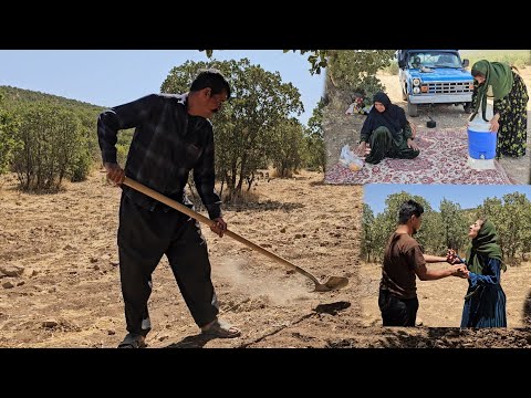 A family's efforts in the forest—Amir and Shahnaz with Leila.