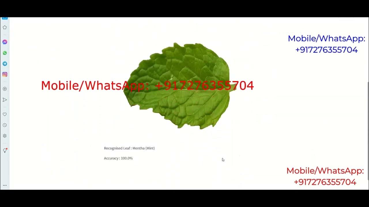 Types Of Medicinal Leaf Recognition Using Image Processing | Python Project With Source Code ...