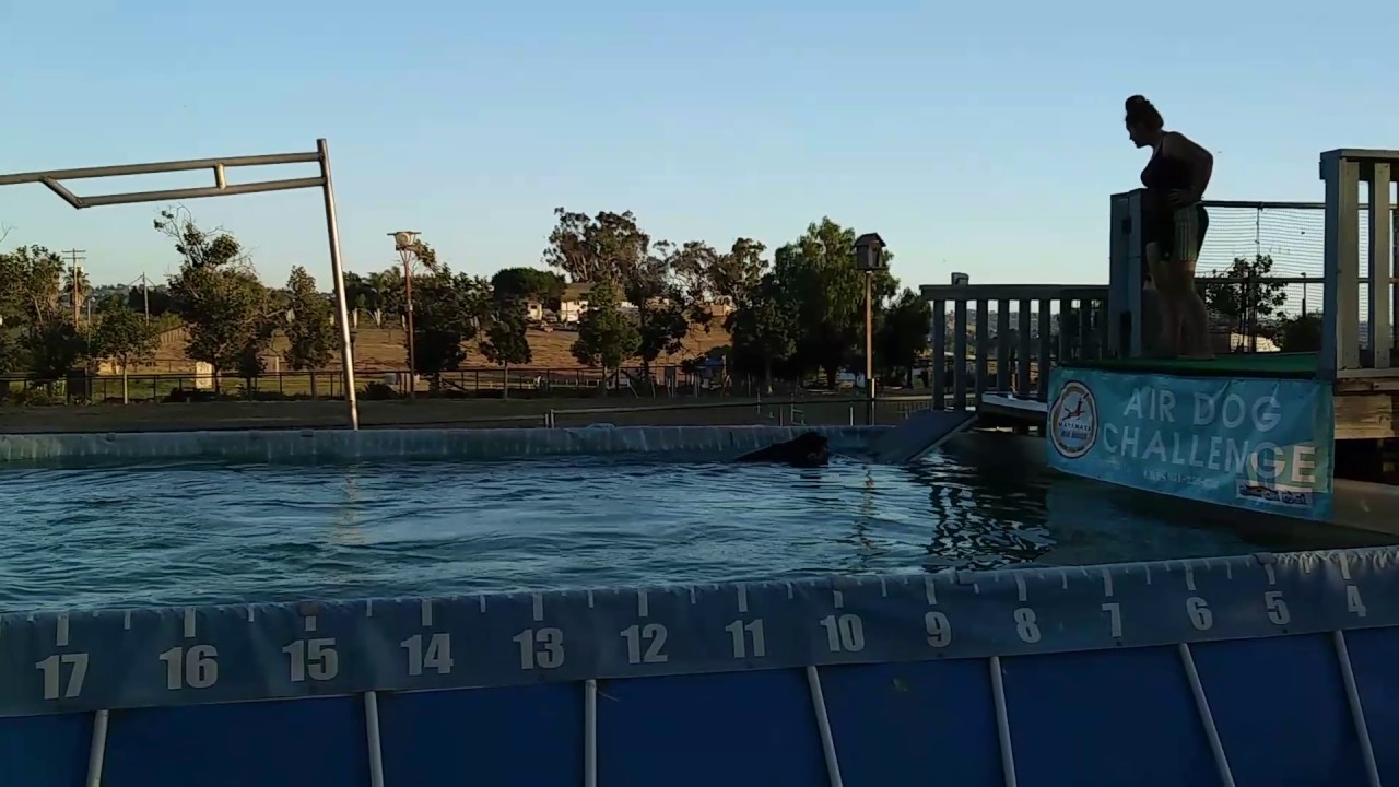 Trevor, dock jumping Doberman - YouTube