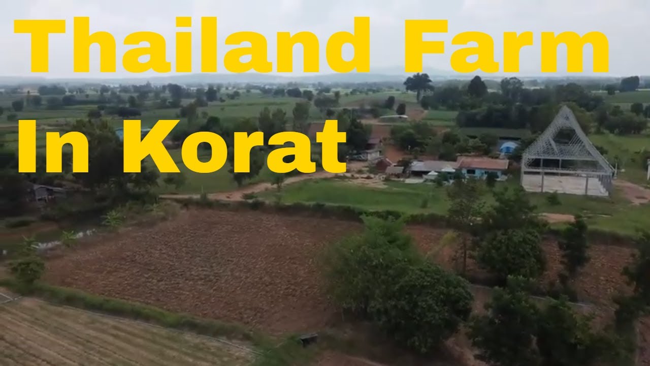 🆕Thailand Farm Korat Farm In Korat Video - YouTube