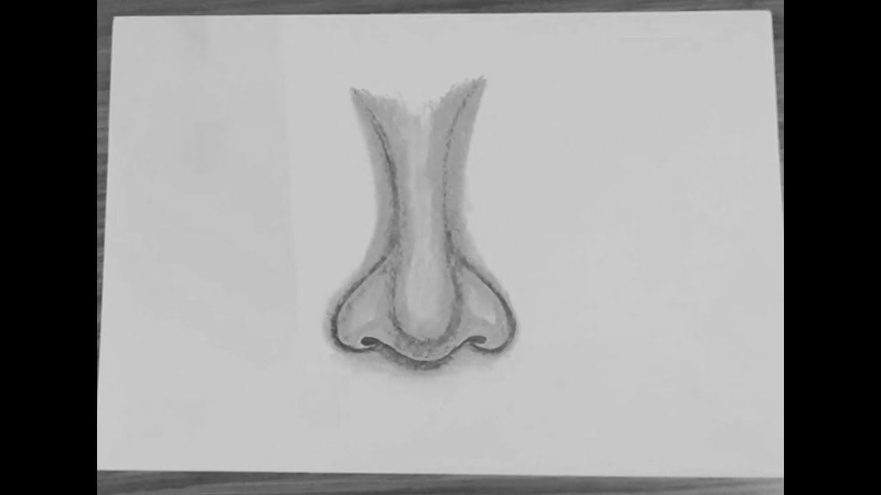 How to draw Nose sketch #body parts drawing - YouTube